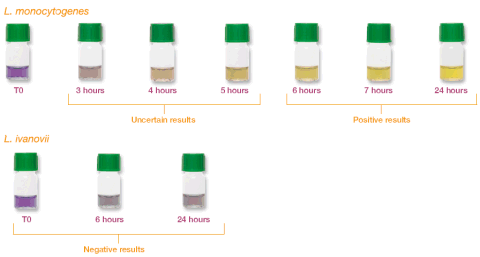 rapidmicrobiology » new confirmation of listeria monocytogenes in 6 h ...