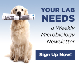 Covid-19 a rapidmicrobiology special newsletter - 26 March 2020