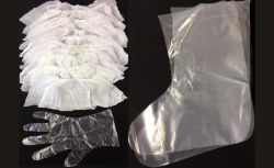 Special Focus on the Detection of Salmonella in Food