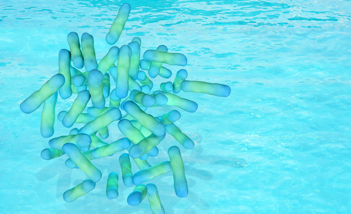 rapidmicrobiology Legionella in Water: Detection and Identification Methods