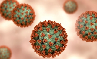 AMS Biotechnology (Europe) Limited