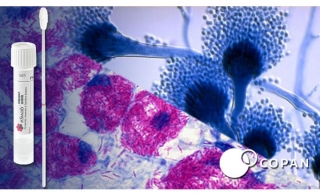 rapidmicrobiology Copan Diagnostics, Inc.