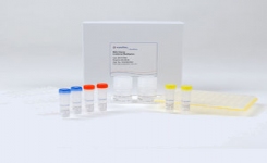 rapidmicrobiology : Food & Beverage - Listeria