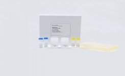 rapidmicrobiology : Food & Beverage - Salmonella