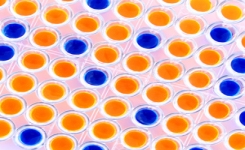 rapidmicrobiology : Food & Beverage - Salmonella