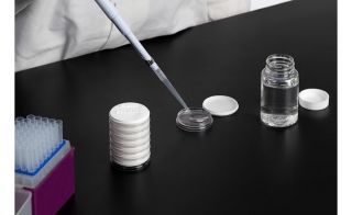 IDEXX Laboratories Inc