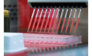 Microbiologics, Inc.