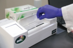 rapidmicrobiology : Food & Beverage - Salmonella